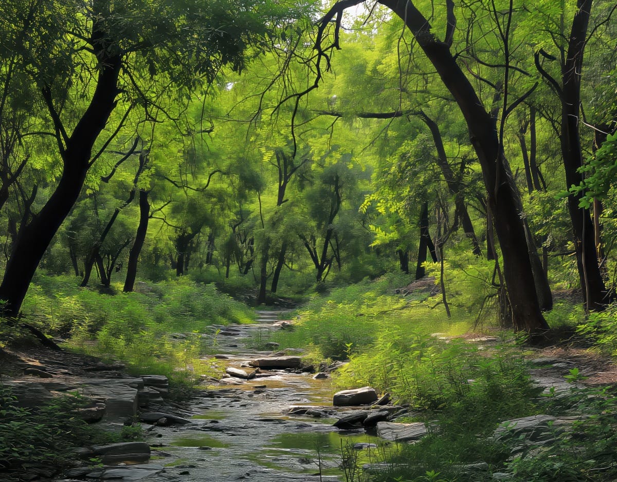 Explore Leopard Trail Gurgaon: A Wildlife Adventure